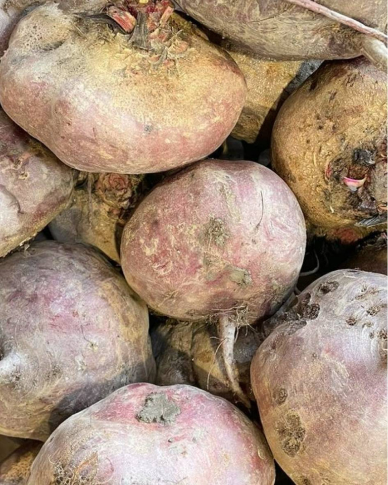 Sfecla rosie, romanesca, ECO, 1kg | Froopt.ro